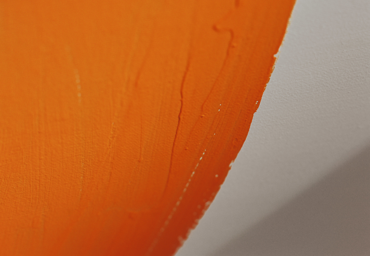 ICONIC COLORS — A production of artworks with CAPAROL ICONS