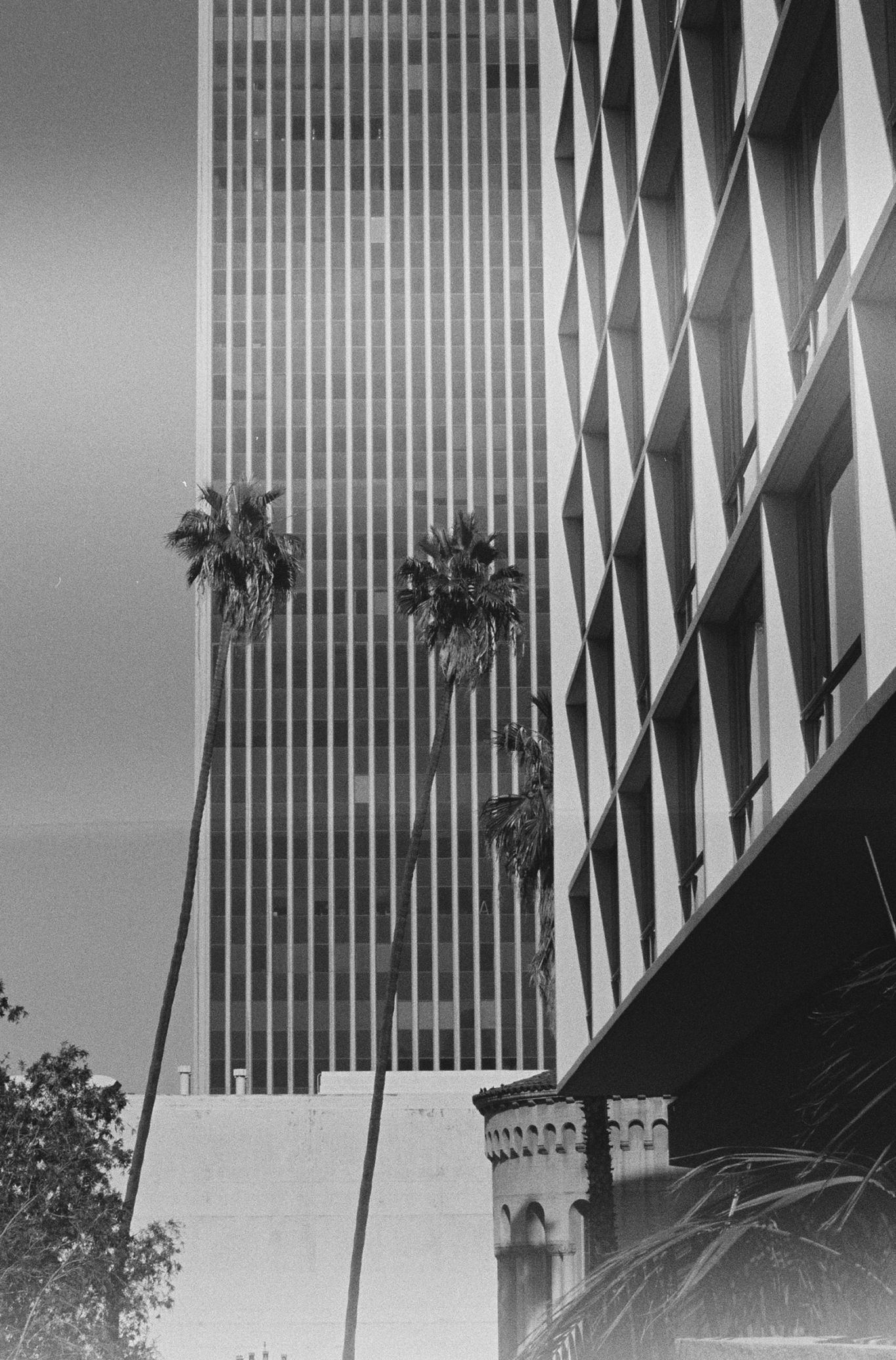 Architecture — American Modernism & International Style | TDR Magazine