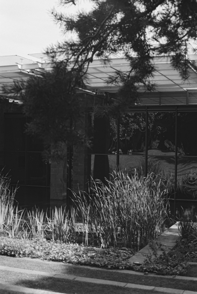 Fondation Beyeler—Considered as one of the most elegant museums