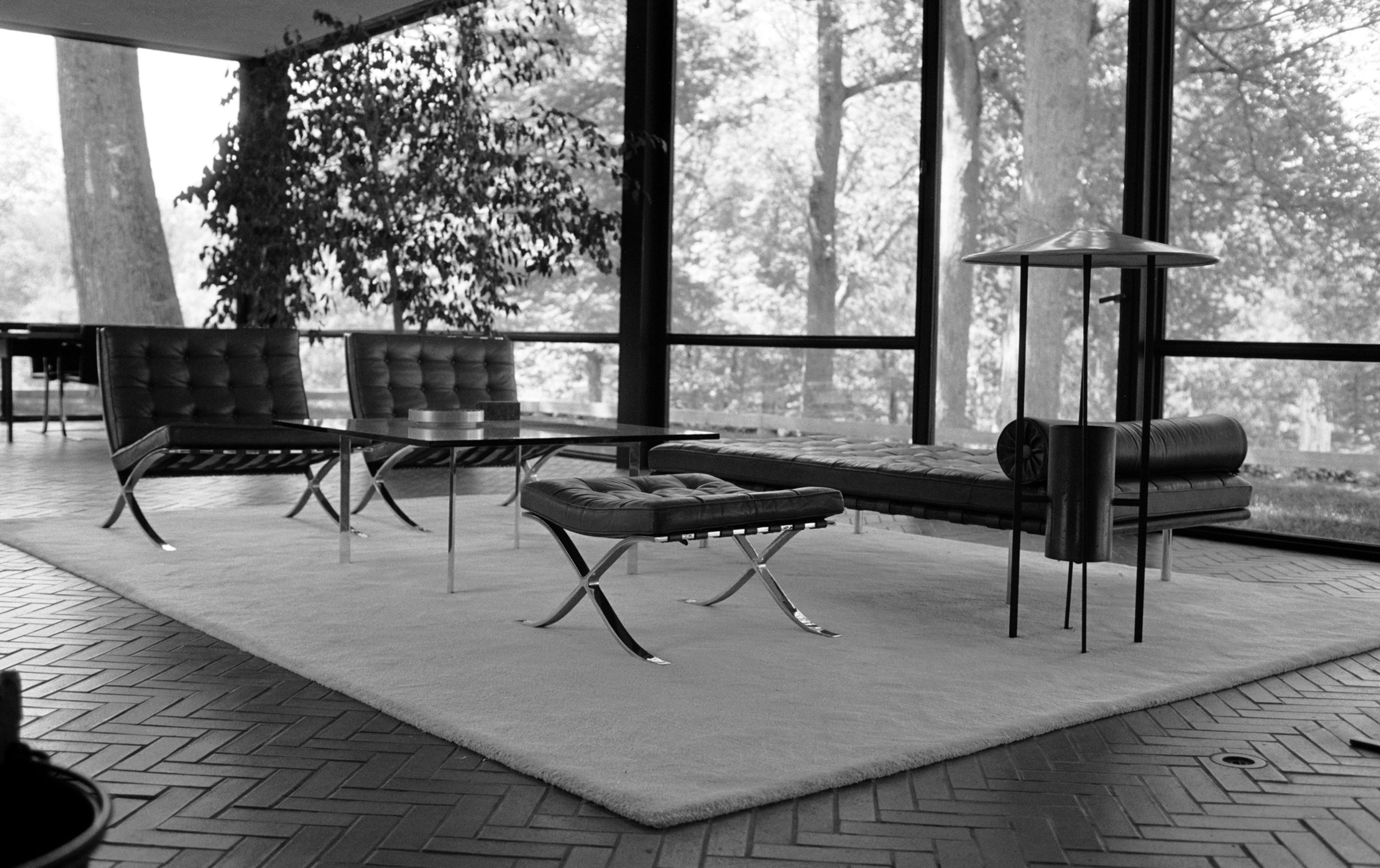 Reflecting Transparency⸺Philip Johnson's Iconic Glass House